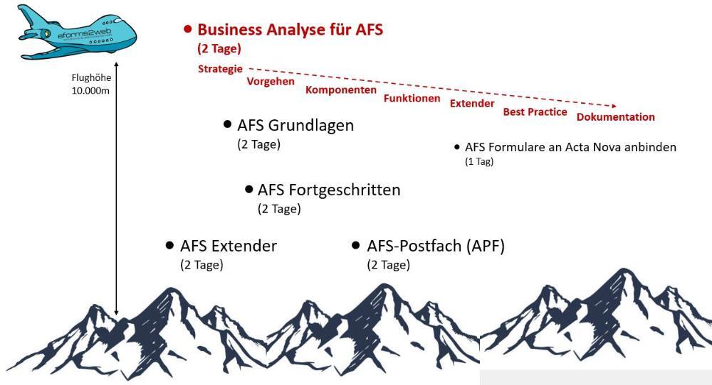 Business Analyse für AFS - aforms