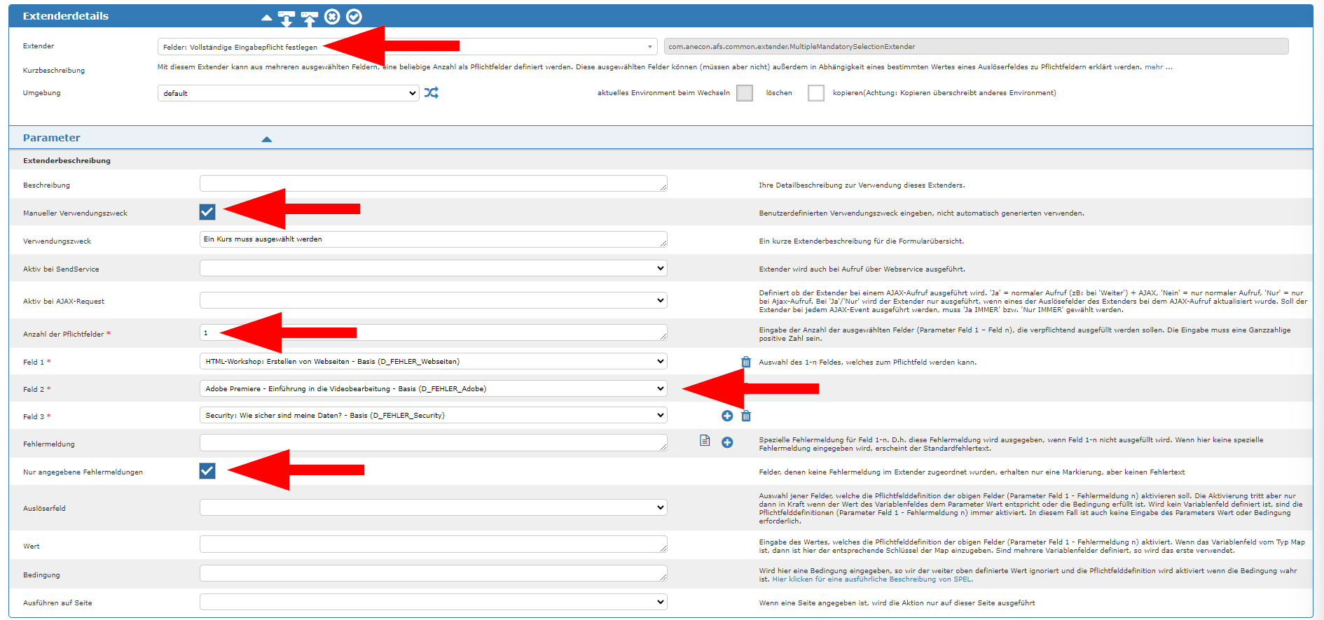 Pflichtfelder, Hilfetexte und Fehlermeldungen - aforms